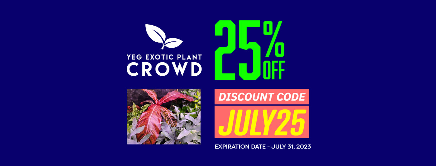 YEG Exotic Plant Crowd, Edmonton Rare Plants, Exotic Plants Canada